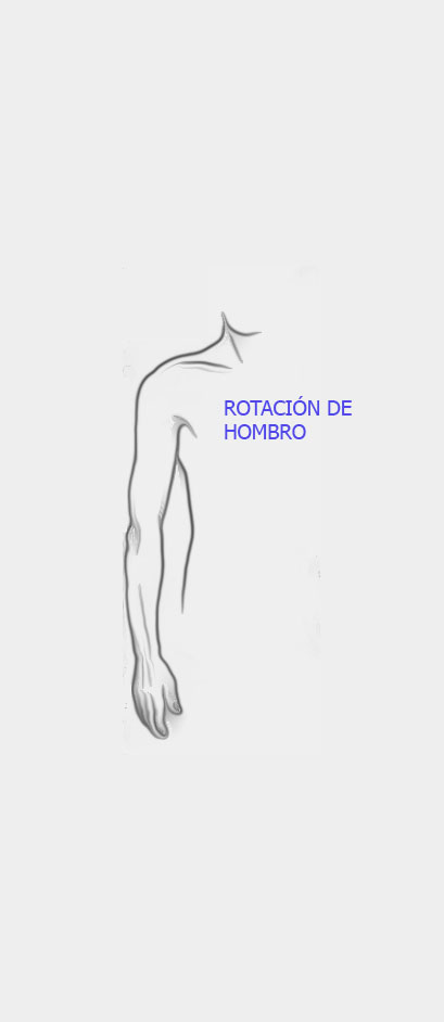 Planos Anatómicos del Movimiento – Bailarte online